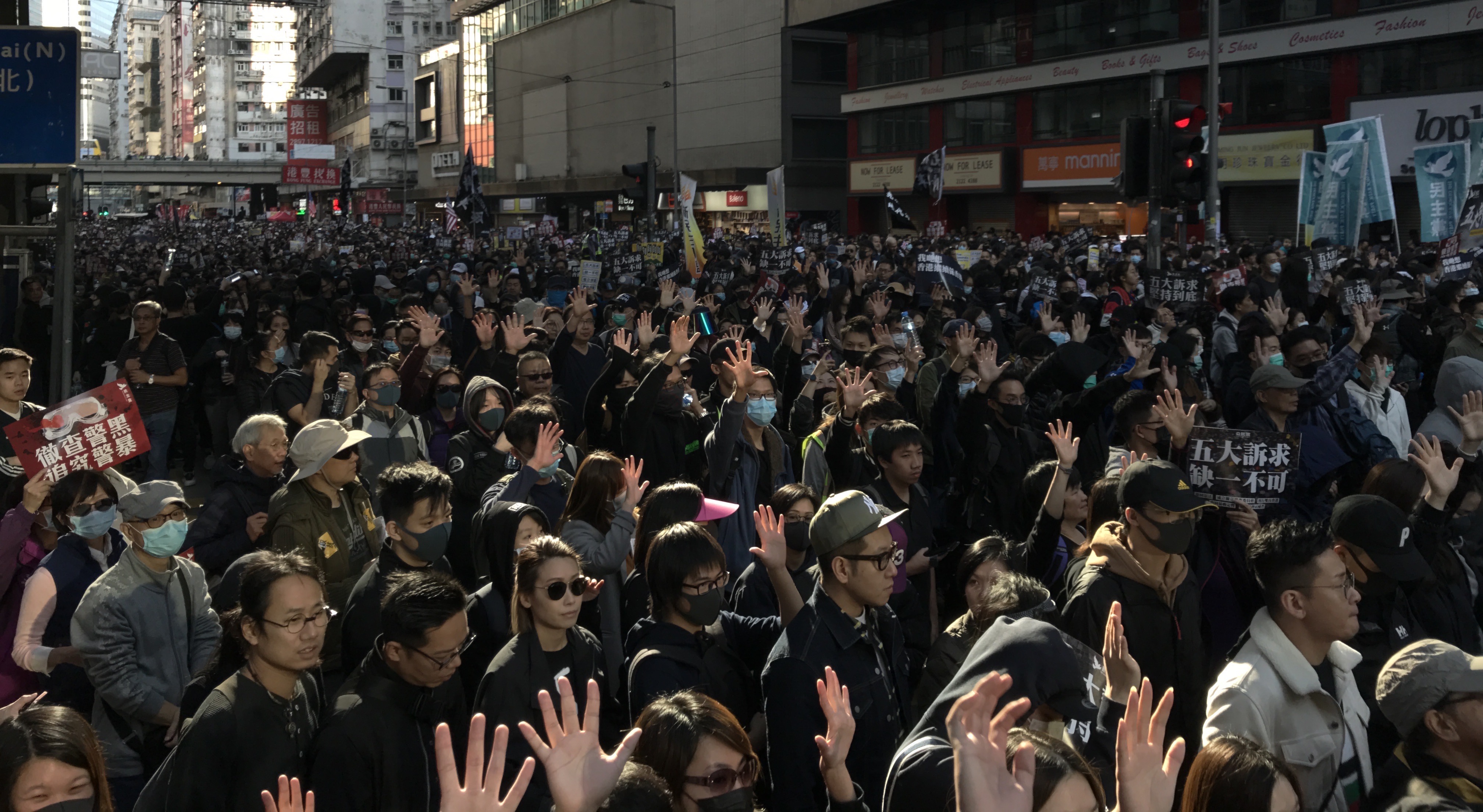 “I Am A Hongkonger” by Jennifer Anne Eagleton – Hong Kong Protesting