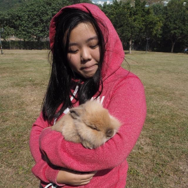 “Hedgehogs in Fog” by Nicole Lai – Hong Kong Protesting