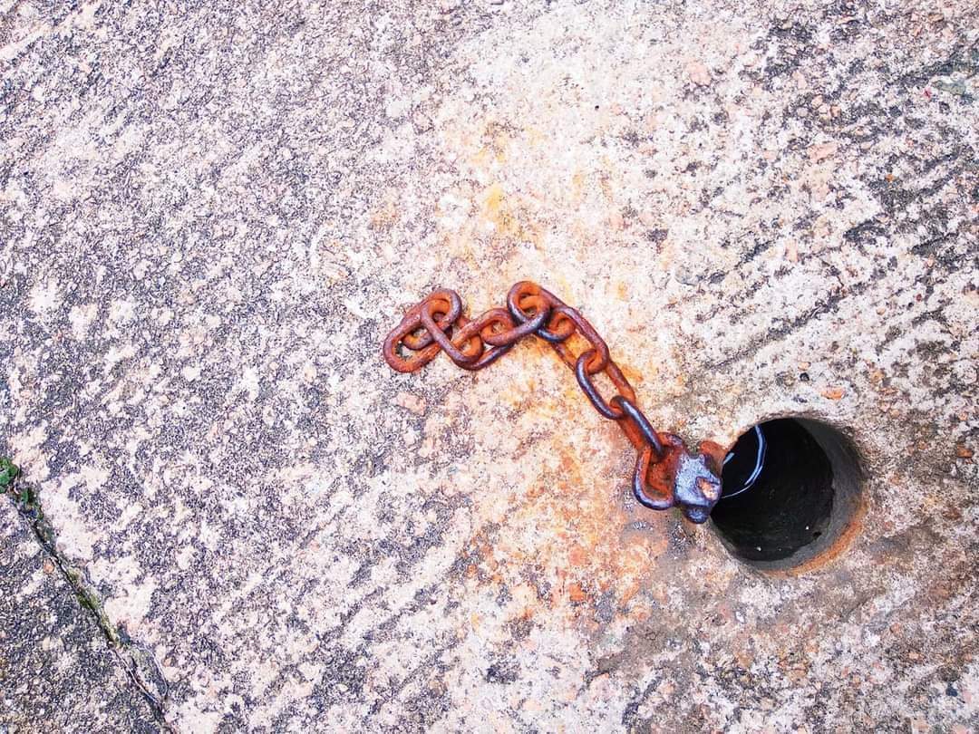 “Safety Items for the Self in Interesting Times” by Jennifer Anne ...